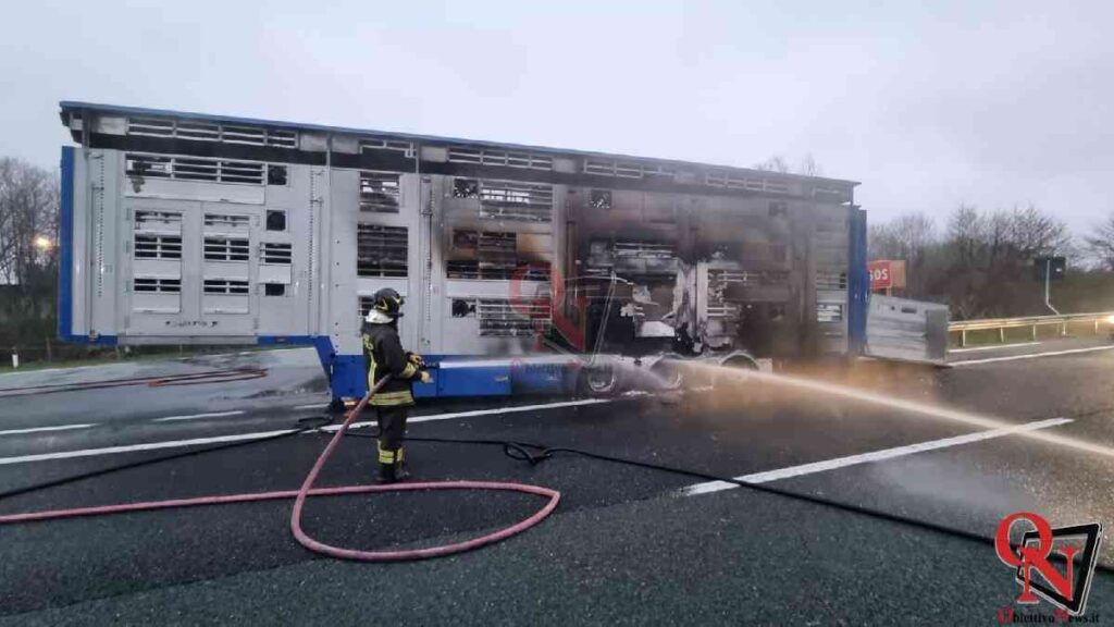 VOLPIANO – Camion carico di bestiame si incendia in autostrada A5 (FOTO) VOLPIANO – Camion carico di bestiame si incendia in autostrada A5 (FOTO)